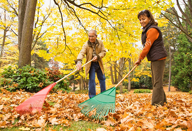 Ergonomic Form for Raking Leaves - Occupational Therapy Services